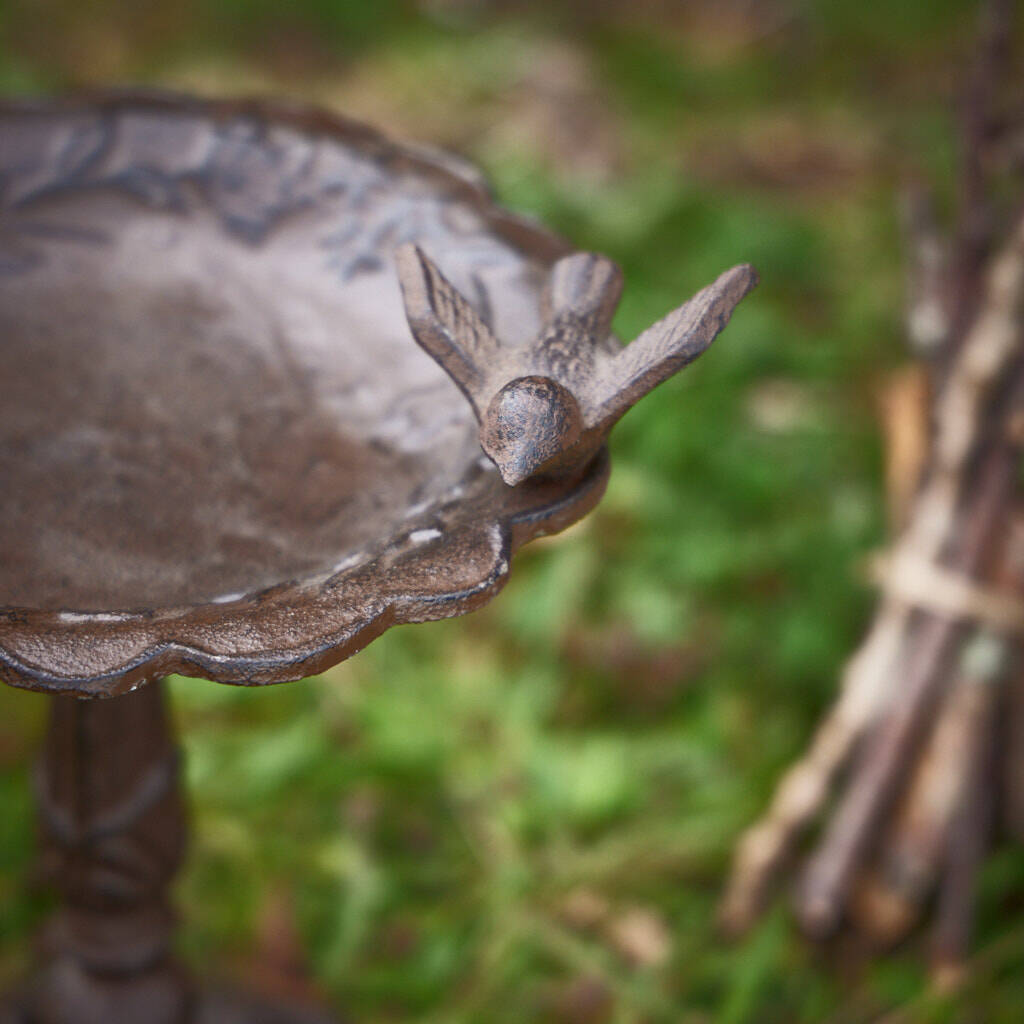 Vintage Standing Garden Bird Dish By Dibor | notonthehighstreet.com