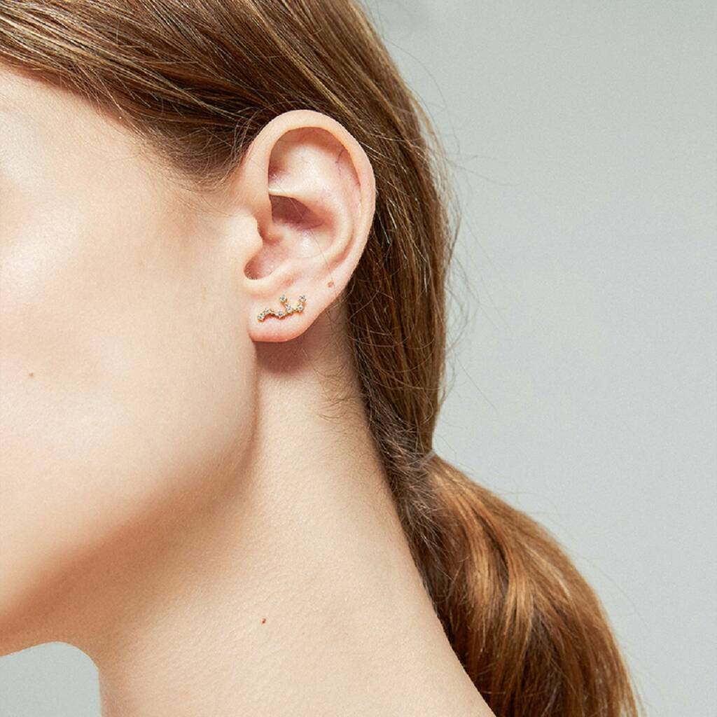 Star Sign Constellation Earrings Studs By Attic | notonthehighstreet.com