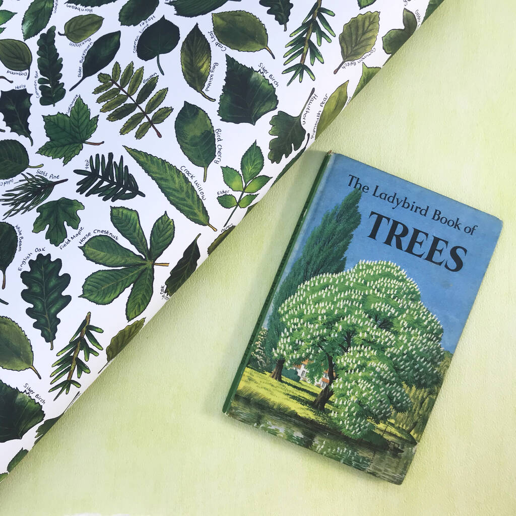 Botanical Leaves Wrapping Paper Set By Alexia Claire ...