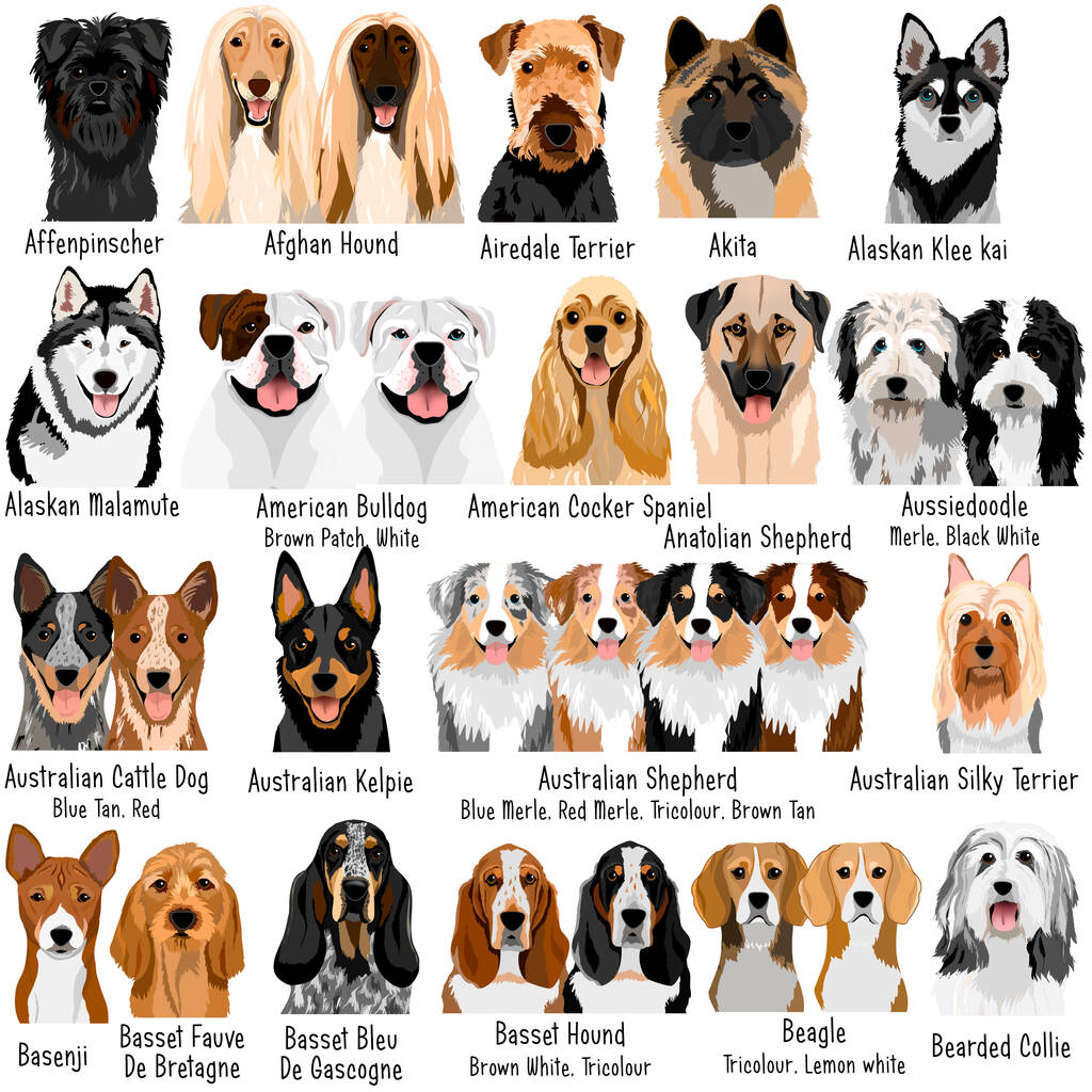 Bold Dog Breed Premium Illustrated Name Tag By Hoobynoo ...