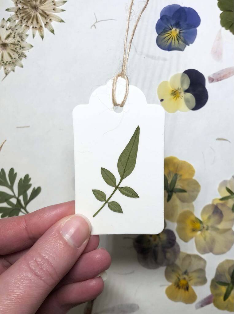 10 Pressed Leaf Gift Tags Assorted Set By Charlie Presses Flowers