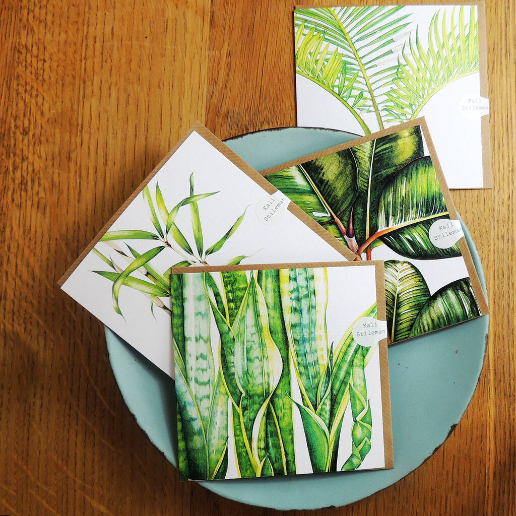 Bamboo Greetings Card By Kali Stileman Publishing | notonthehighstreet.com