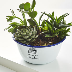 Garden Plant Pots and Herb Planters | notonthehighstreet.com