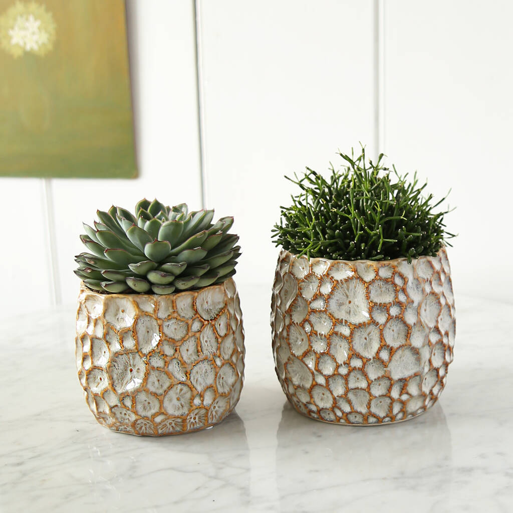 astro ceramic plant pot by clem & co | notonthehighstreet.com
