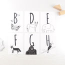 Animal Alphabet Postcards By The Little Black & White Book Project ...