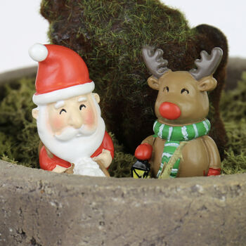 Mini Festive Gnomes Plant Pot Markers By Gift Republic