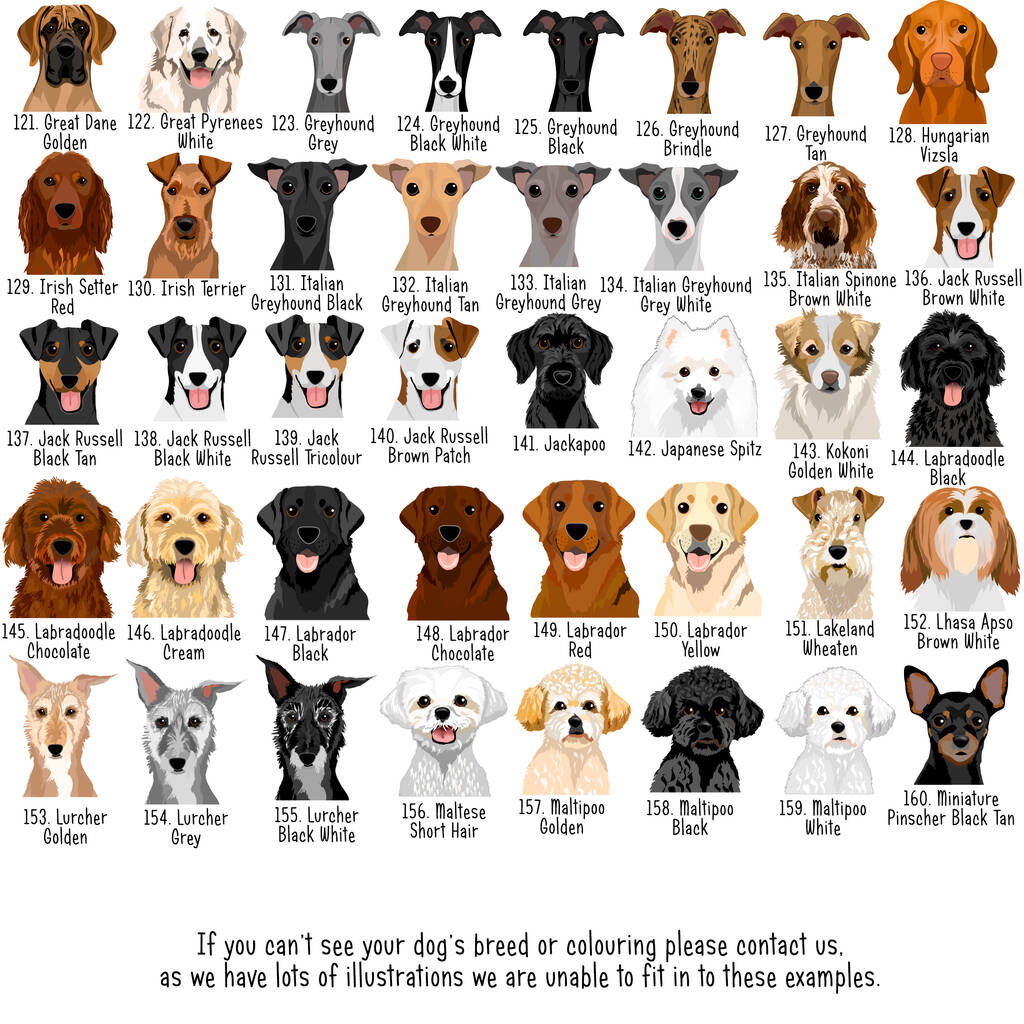 Dog Breed ID Tag Personalised Realistic Illustrations By Hoobynoo