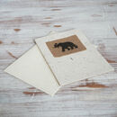 elephant dung card by paper high | notonthehighstreet.com
