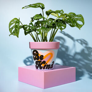 Be Kind Hand Painted Plant Pot By Proudly Potty