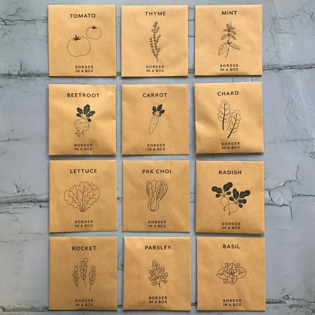 Dads Allotment Seed Kit By Border in a Box | notonthehighstreet.com