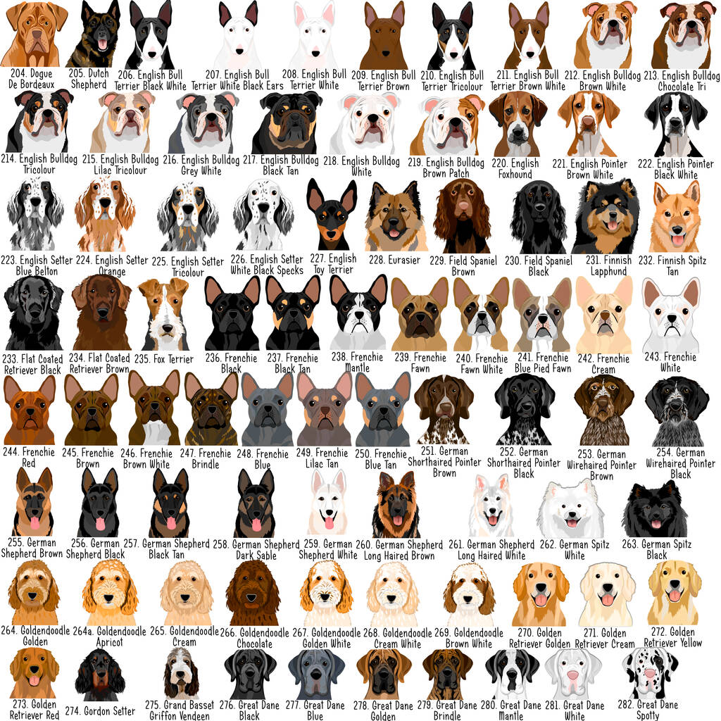 Dog Breed ID Tag Personalised Realistic Illustrations By Hoobynoo