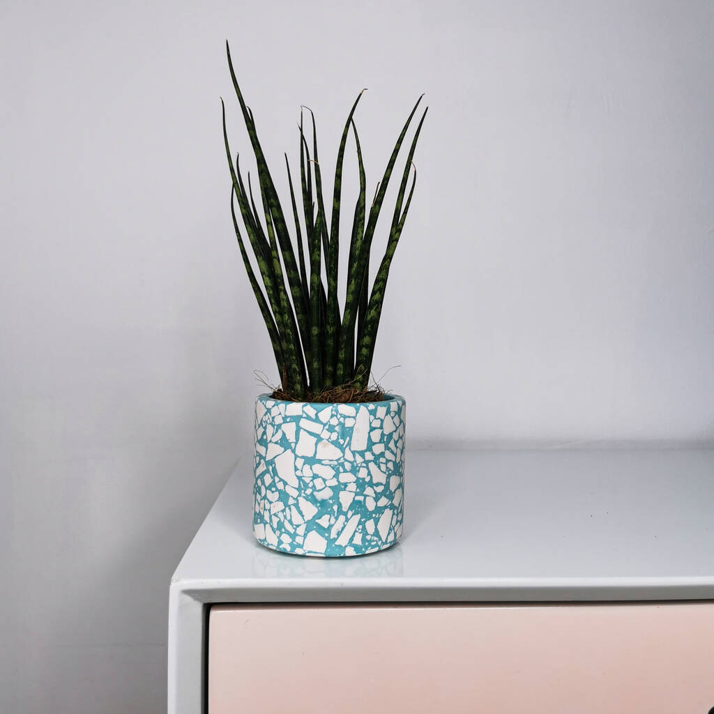 Handmade Terrazzo Colourful Indoor Plant Pot By Slow Make Studio ...