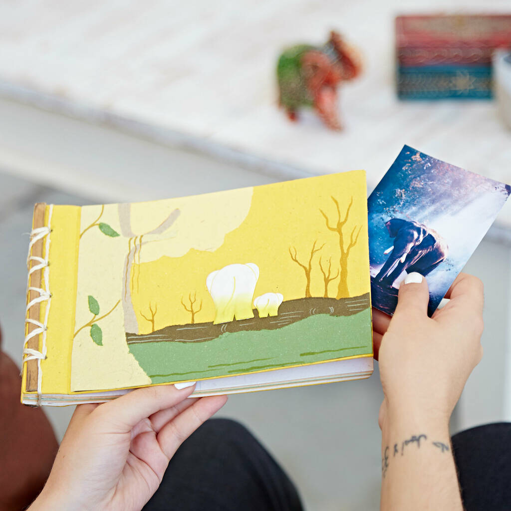 Handcrafted Colourful Eco Elephant Dung Photo Albums By Paper High ...