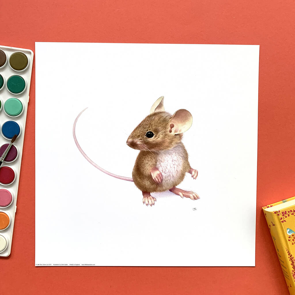Illustrated Mouse Print By Little Blue Zebra | notonthehighstreet.com