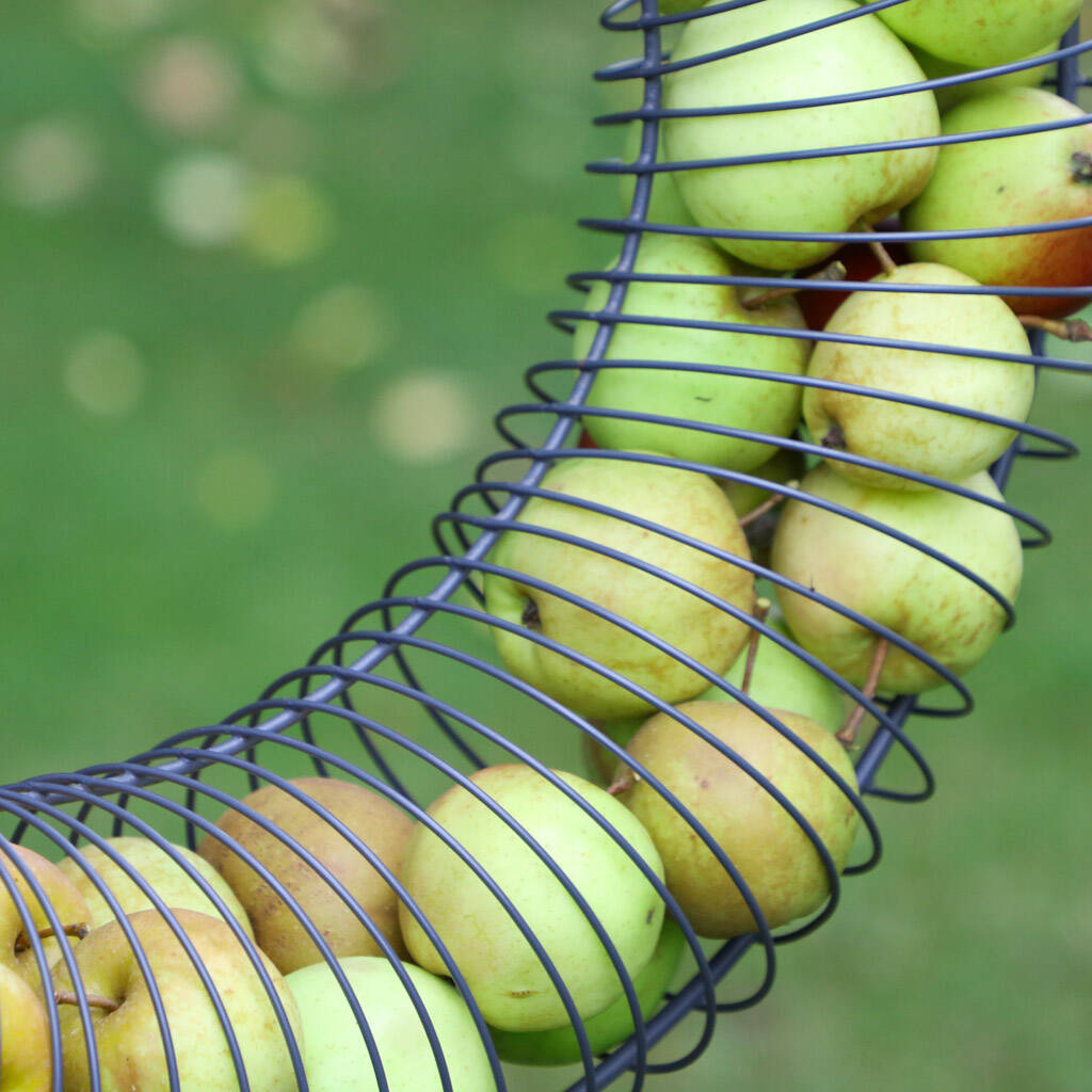 Personalised Ring Garden Bird Feeder By Dibor | notonthehighstreet.com