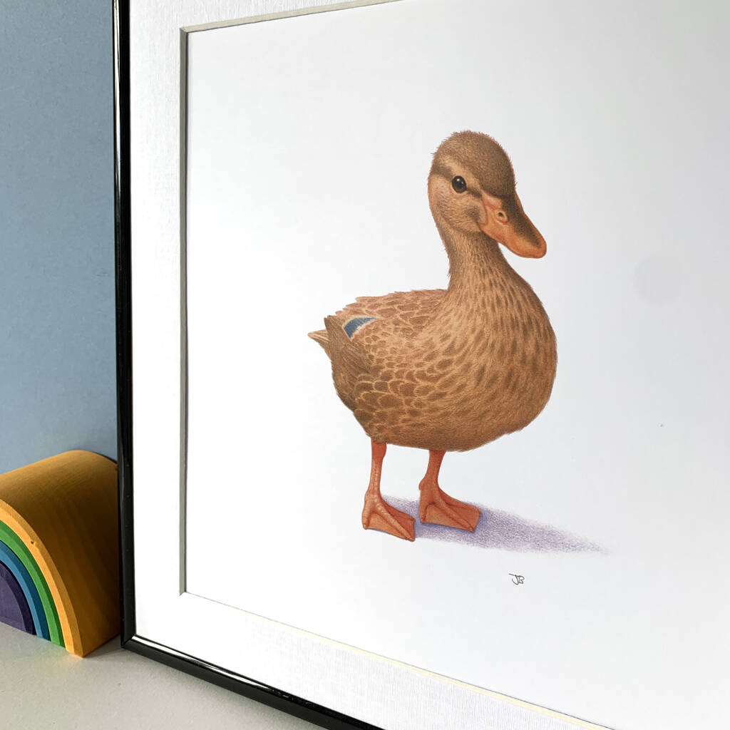 Illustrated Duck Print By Little Blue Zebra | notonthehighstreet.com