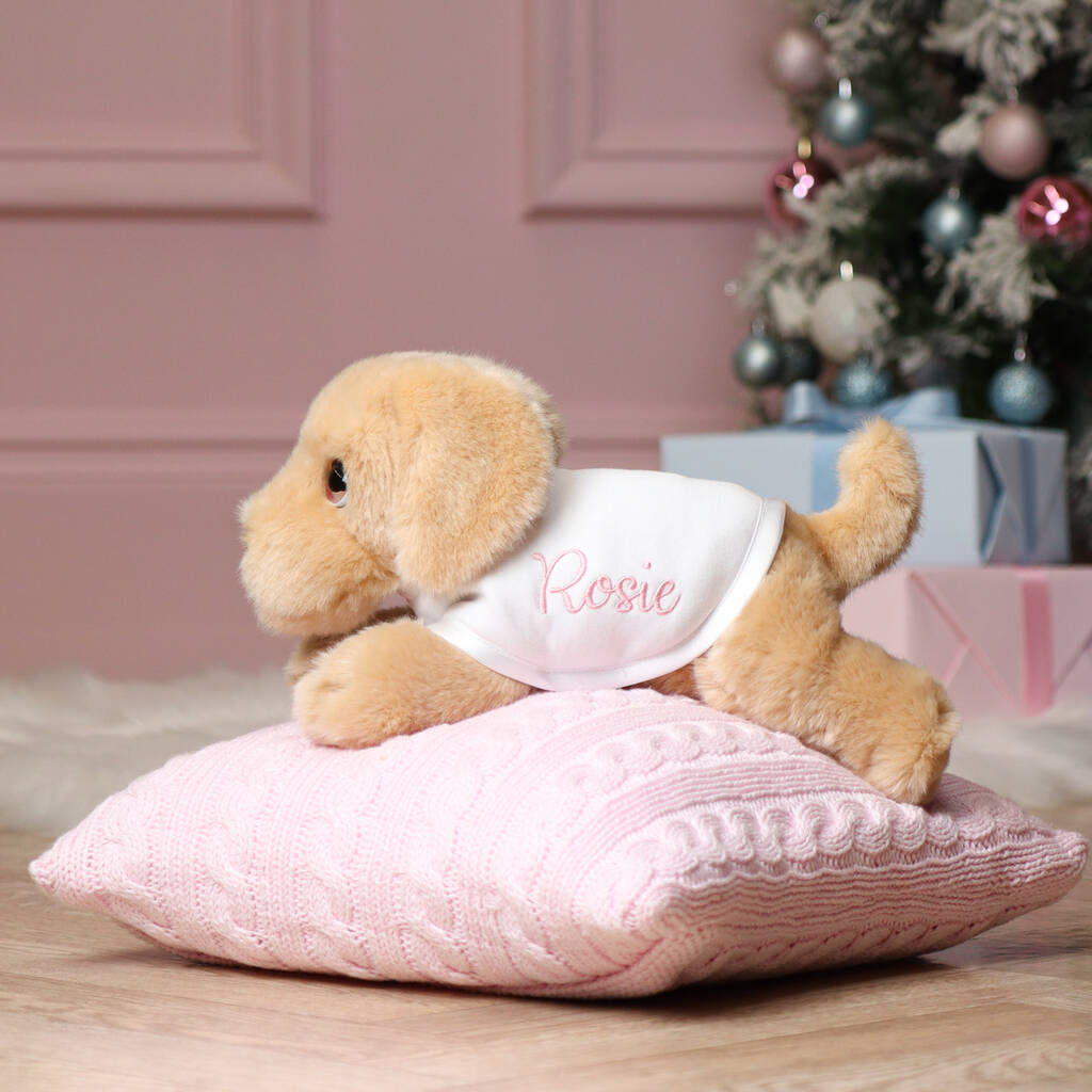 Personalised Keel Signature Labrador Puppy With Coat By That's mine ...