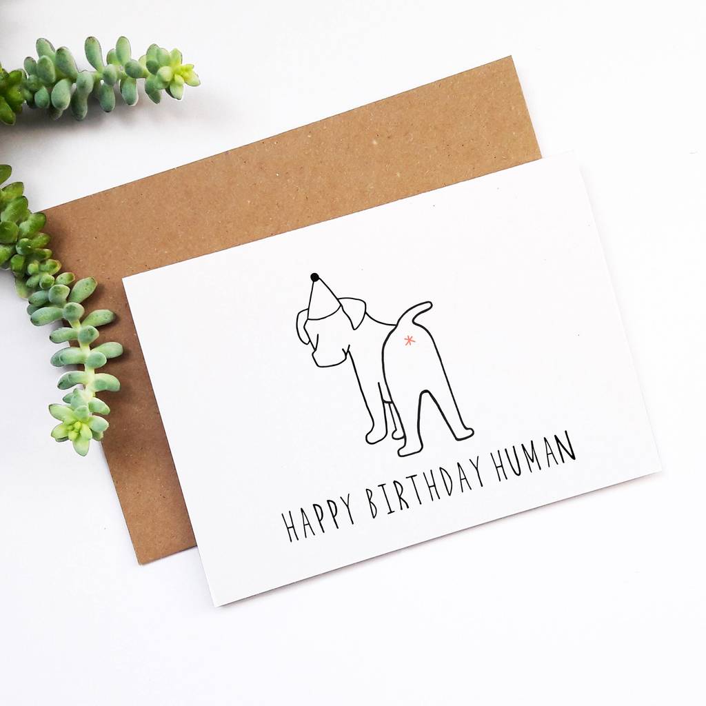 funny dog lover birthday card 'happy birthday human' by yellow lemming ...