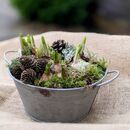 Spring Bulbs Zinc Planter Gift By The Danes | notonthehighstreet.com