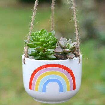 Rainbow Ceramic Hanging Planter With Choices Of Plants By Dinga Ding ...