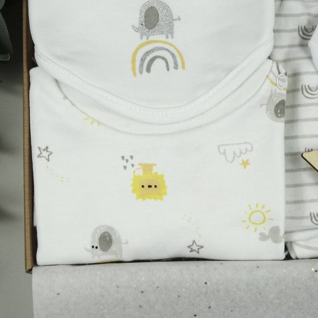 Born In 2022 Safari New Baby Letterbox Gift Box By The Baby Hamper ...