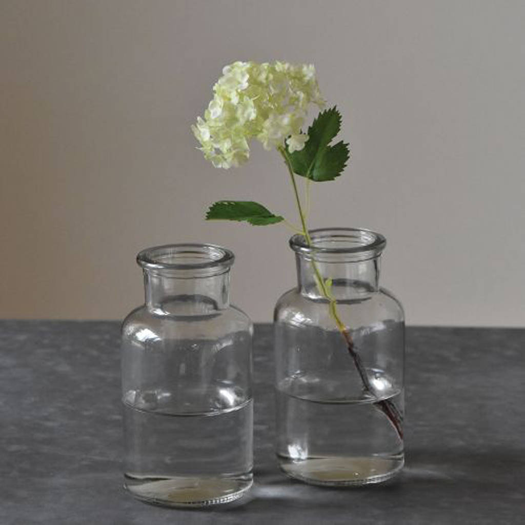 Botanical Bottle Vase Three Sizes By The Wedding Of My Dreams ...