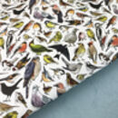 Garden Birds Wrapping Paper Set By Alexia Claire | notonthehighstreet.com