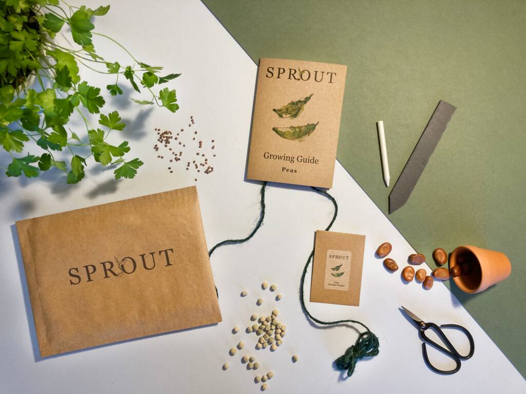 Grow Your Own Peas Starter Pack By Sprout Vegetables ...