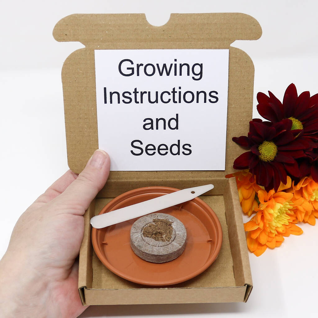 Grow Your Own Ladybird Poppies. Poppy Growing Kit By Grow Your Own ...