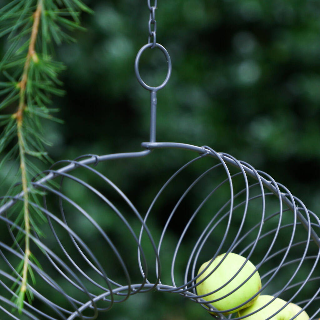Personalised Ring Garden Bird Feeder By Dibor | notonthehighstreet.com