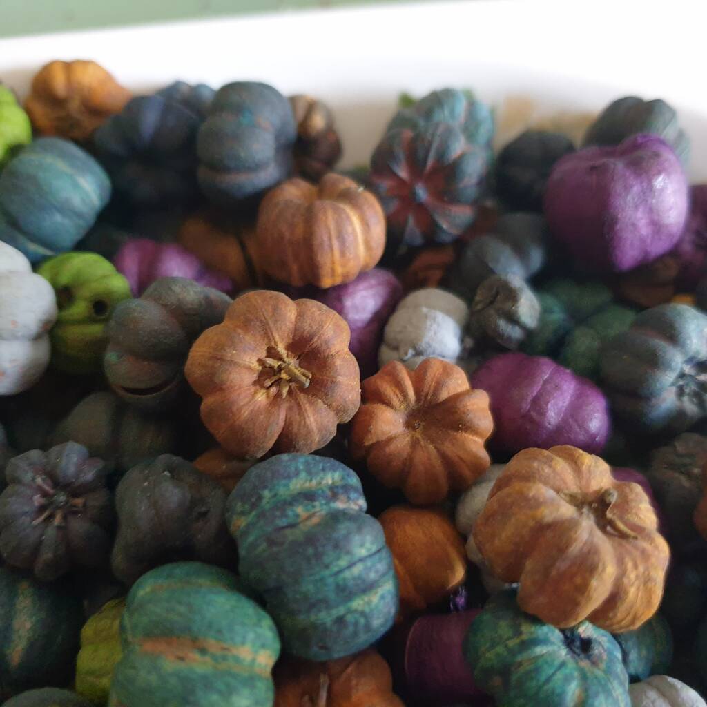 Dried Baby Pumpkin Autumn Potpourri By The Blueberry Patch by Sarah ...