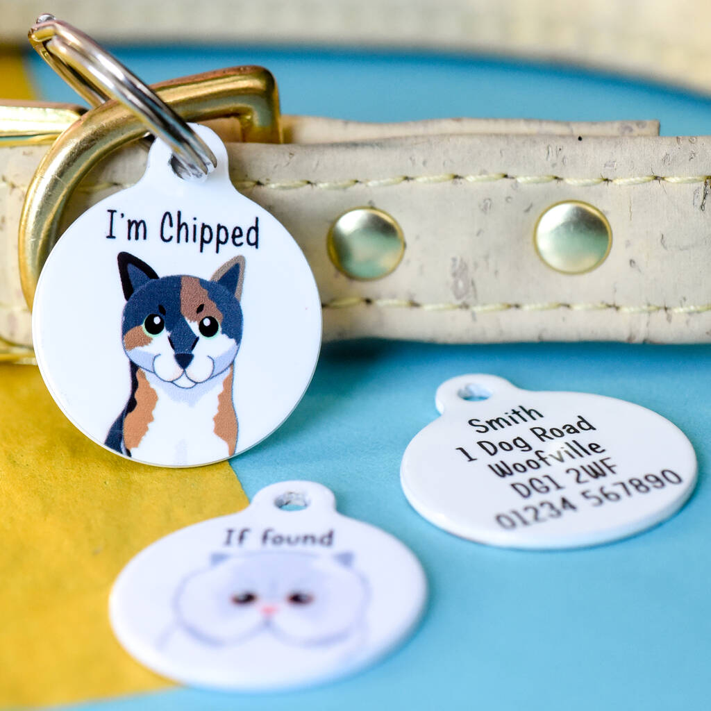 Personalised Premium Cat Breed Name Tag Bold By Hoobynoo ...