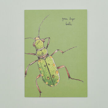Handmade Greeting Card Tiger Beetle, Recycled Card By Heather Scott ...