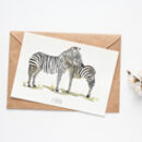 Zebra Hand Painted Greetings Card By Katie Hipwell Design ...