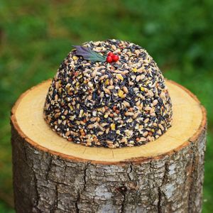 Gardening Gifts | Gift Ideas for Gardeners | notonthehighstreet.com