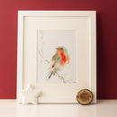 Red Robin Bird Print By James Hollis Art | notonthehighstreet.com