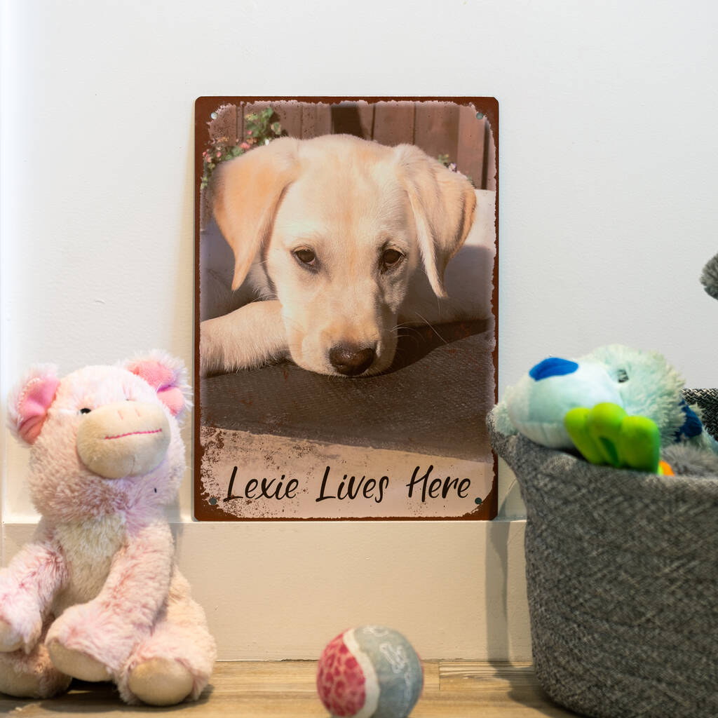 Personalised Own Dog Photo Vintage Metal Sign By Retro Etch ...