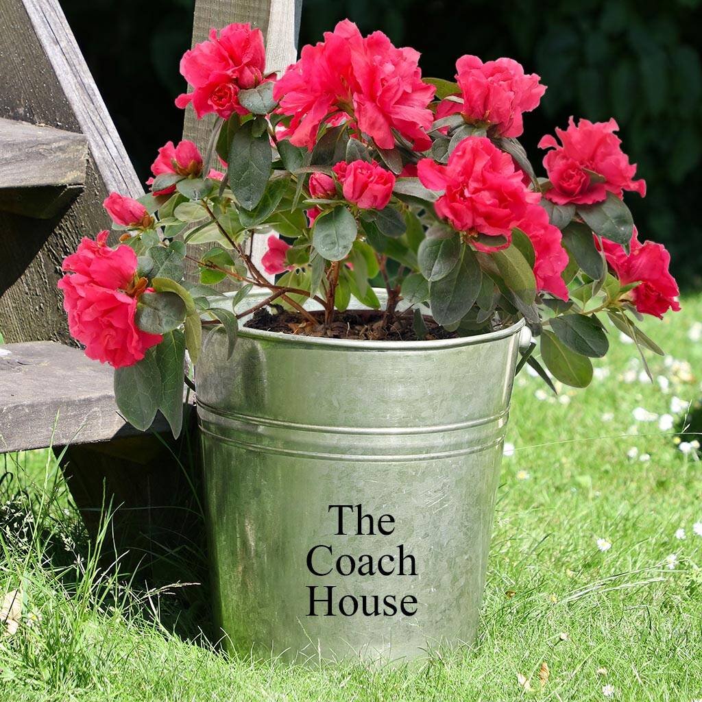 Personalised Large Garden Planter Bucket By Dibor | notonthehighstreet.com