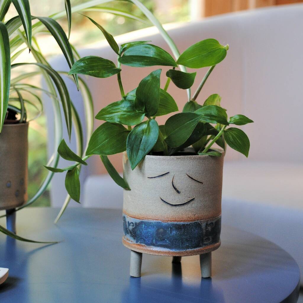 Smiley Ceramic Face Plant Pot With Fish Personalised By IGstudio ...