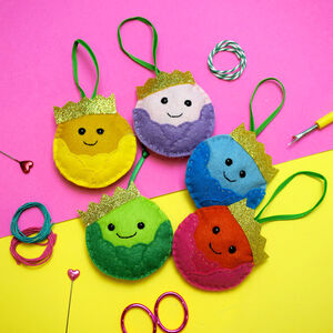 Rainbow Sprout Felt Decoration Craft Kit By The Make Arcade