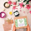 Make Your Own Body Cream Kit By Fruits Of The Nut Tree ...