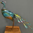 duck solar garden light by garden selections | notonthehighstreet.com