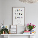 Lale Guralp X Francesca Oddie Floral Birth Charts By Francesca Oddie ...
