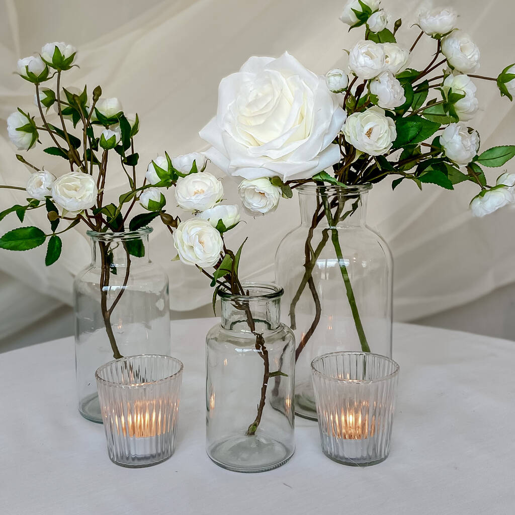 Botanical Bottle Vase Three Sizes By The Wedding of my Dreams ...