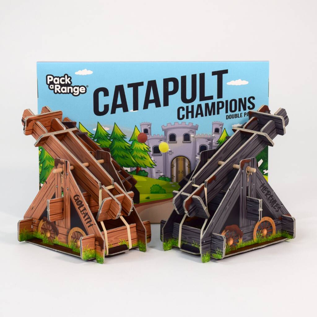 Build A Catapult Family Fun Game By The Toy Tribe | notonthehighstreet.com
