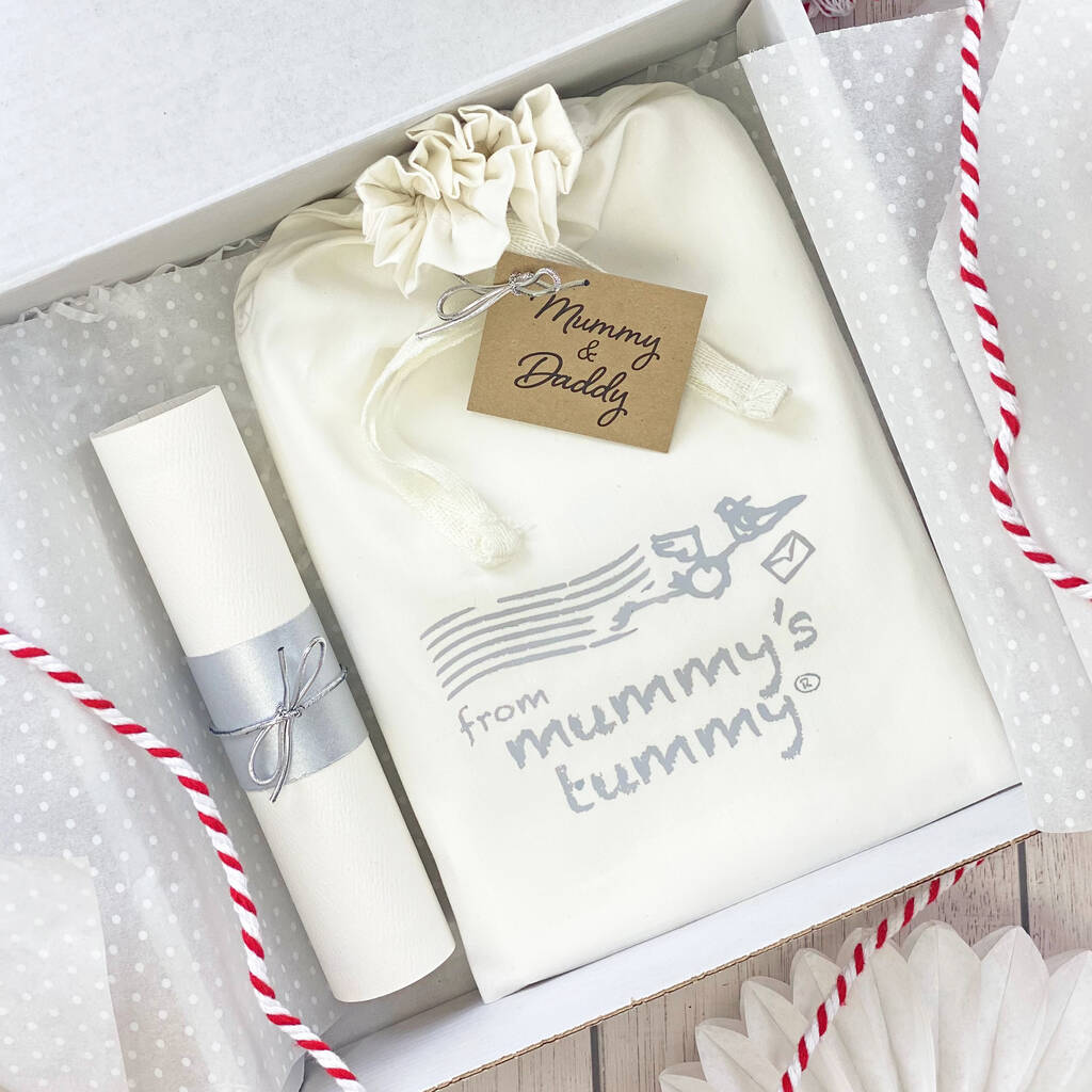 Bump To Baby, Gift For New And Expectant Parents, Box By Stork Mail ...