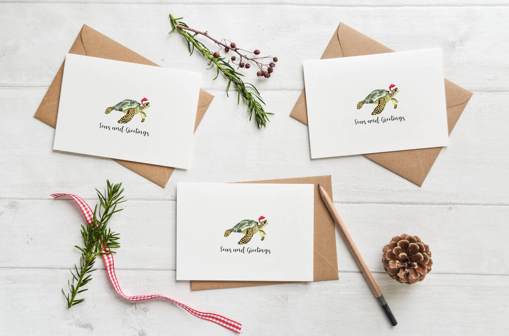 Personalised Turtle Greetings Cards By High Tide Illustrations ...