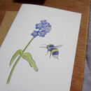 Forget Me Not And Bee Any Occasion Greetings Card By Littlebirdydesigns ...