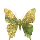 personalised butterfly map print by lime lace | notonthehighstreet.com