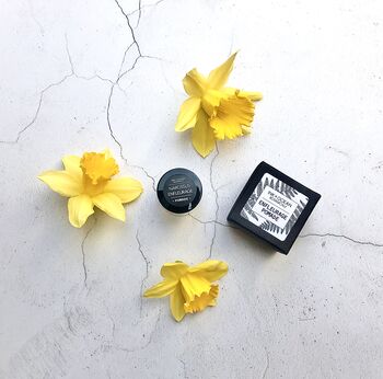 Narcissus Daffodil – Enfeurage Pomade Solid Perfume By Ink & Ocean ...